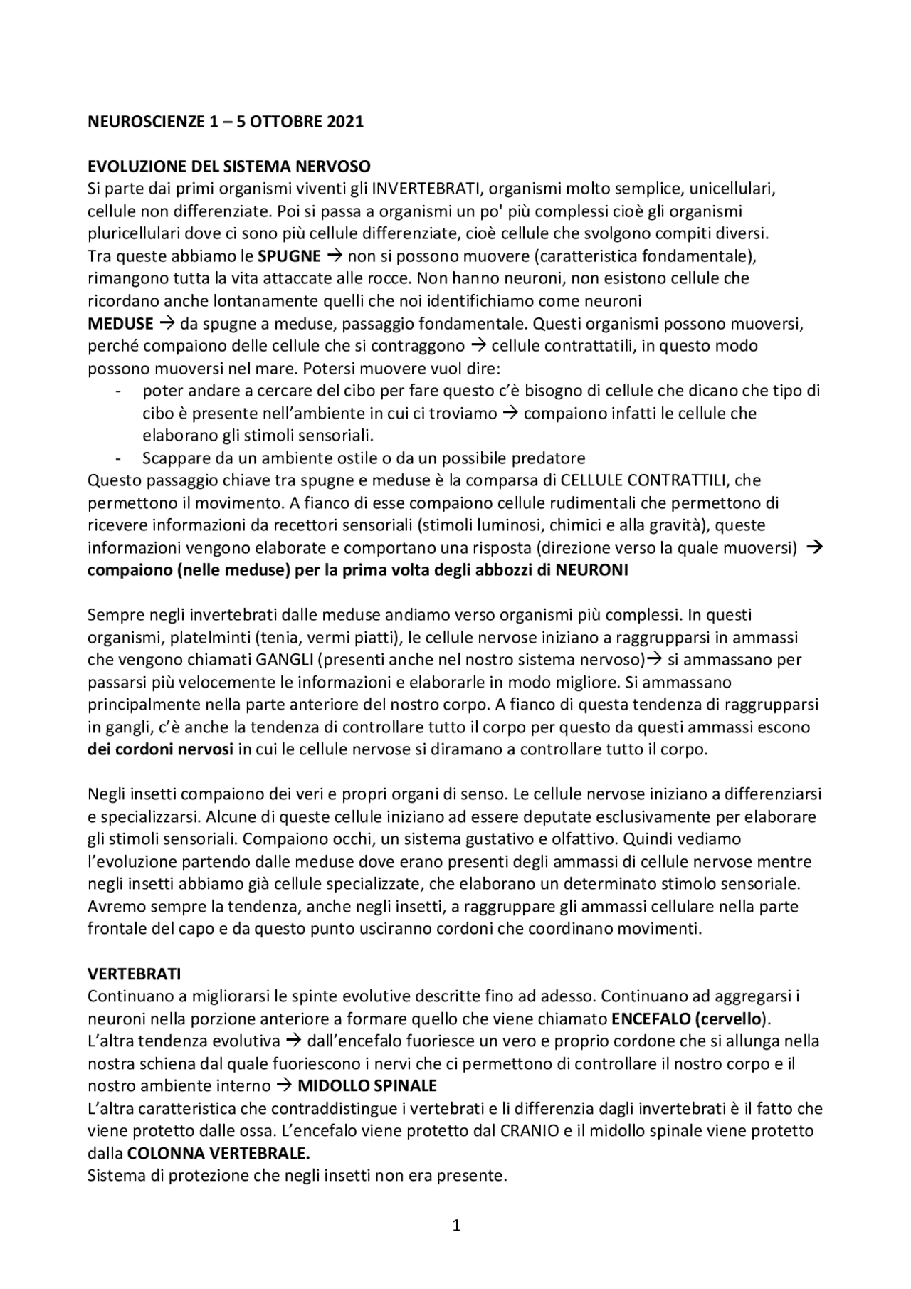 Neuroscienze Per Scienze E Tecniche Psicologiche 1° Anno Docsity