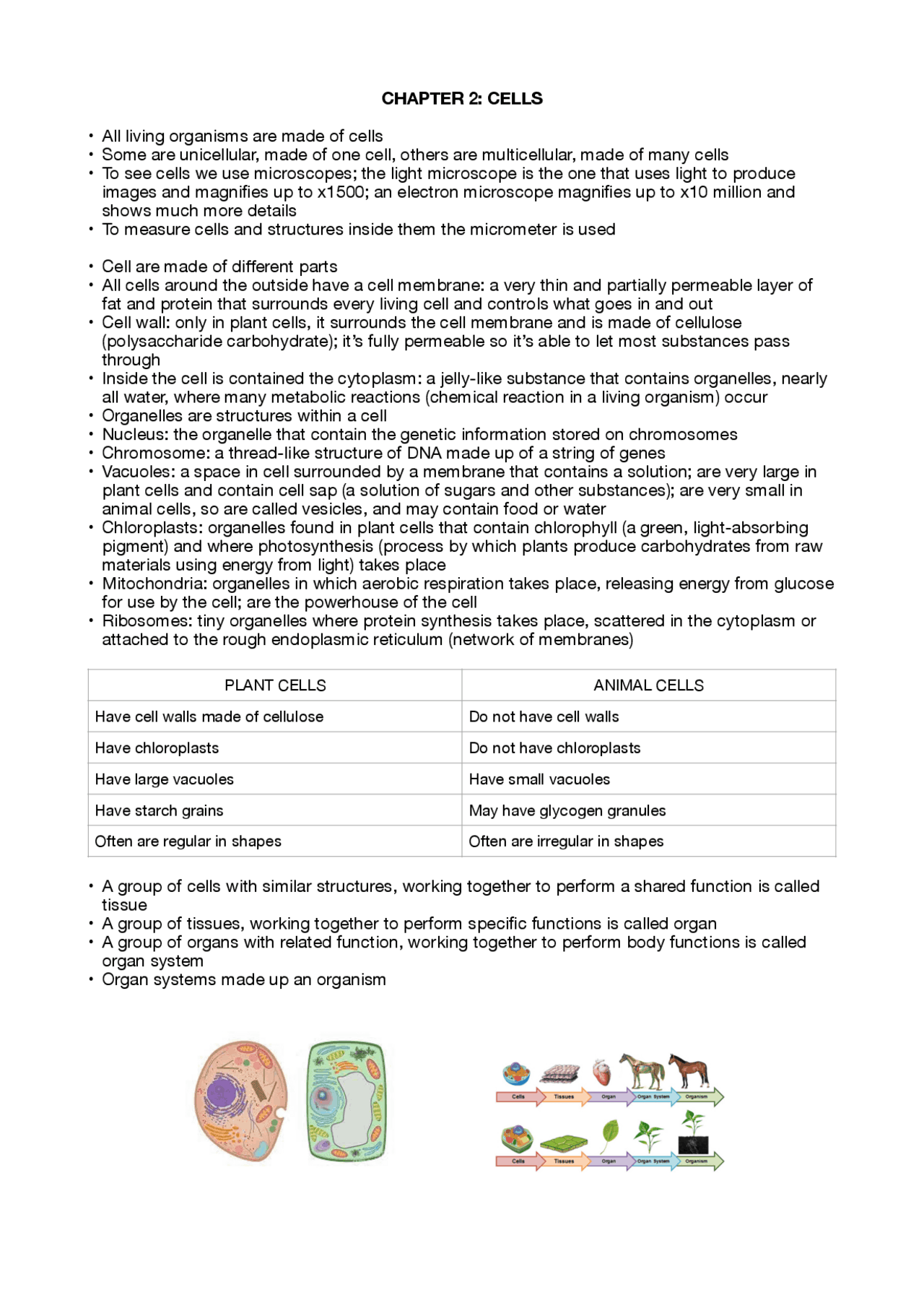 CHAPTER 2: CELLS EXAM IGCSE BIOLOGY - Docsity