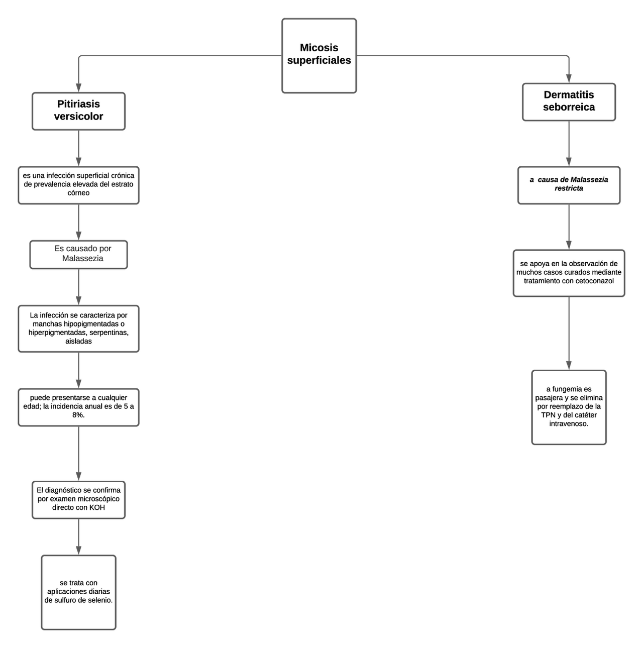 Mapas Coneptuales De MicrobiologÍa Docsity