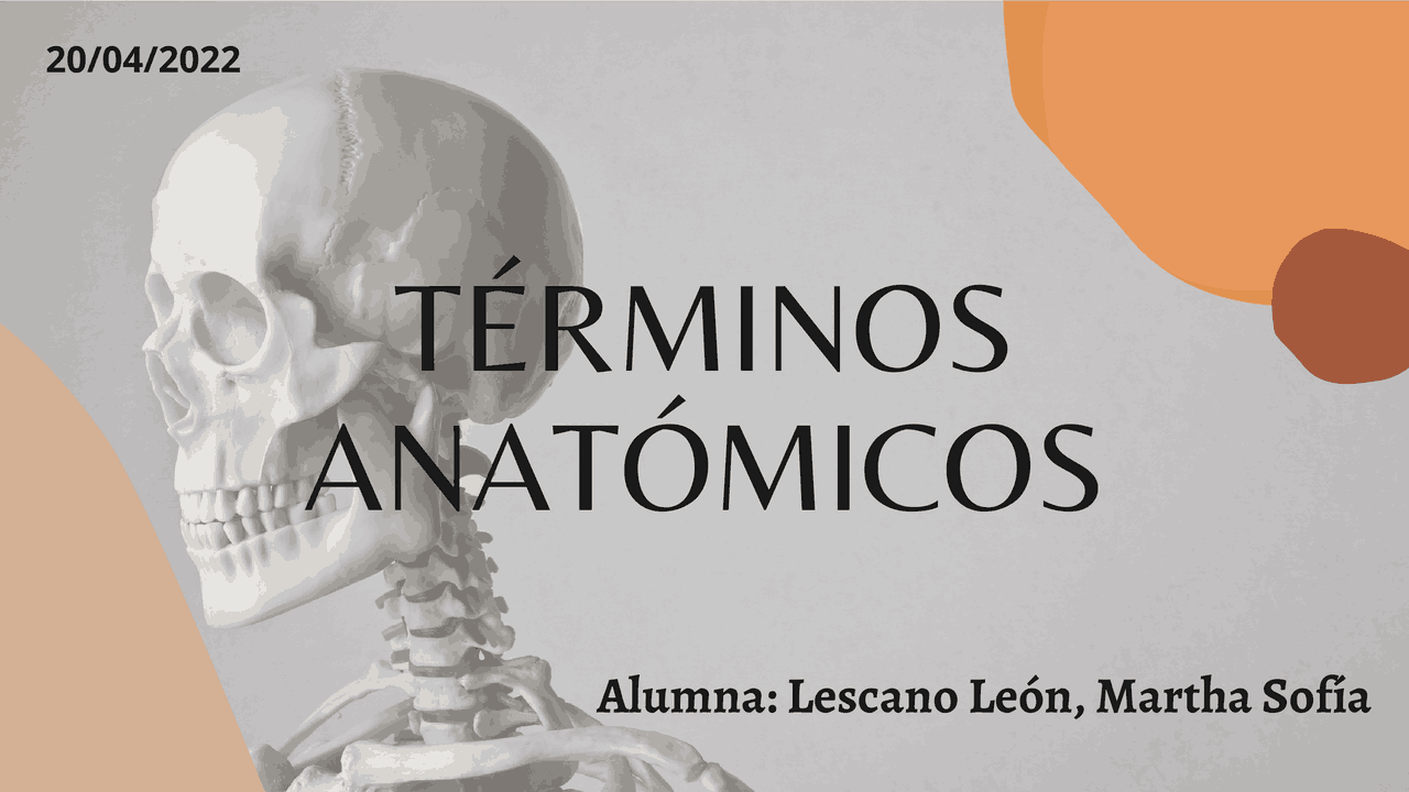 Anatomía Sistema Esquelético Diapositivas De Anatomía Docsity