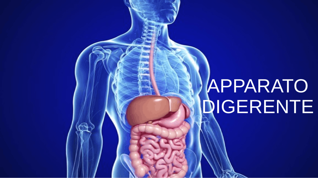 Powerpoint Di Biologia Docsity