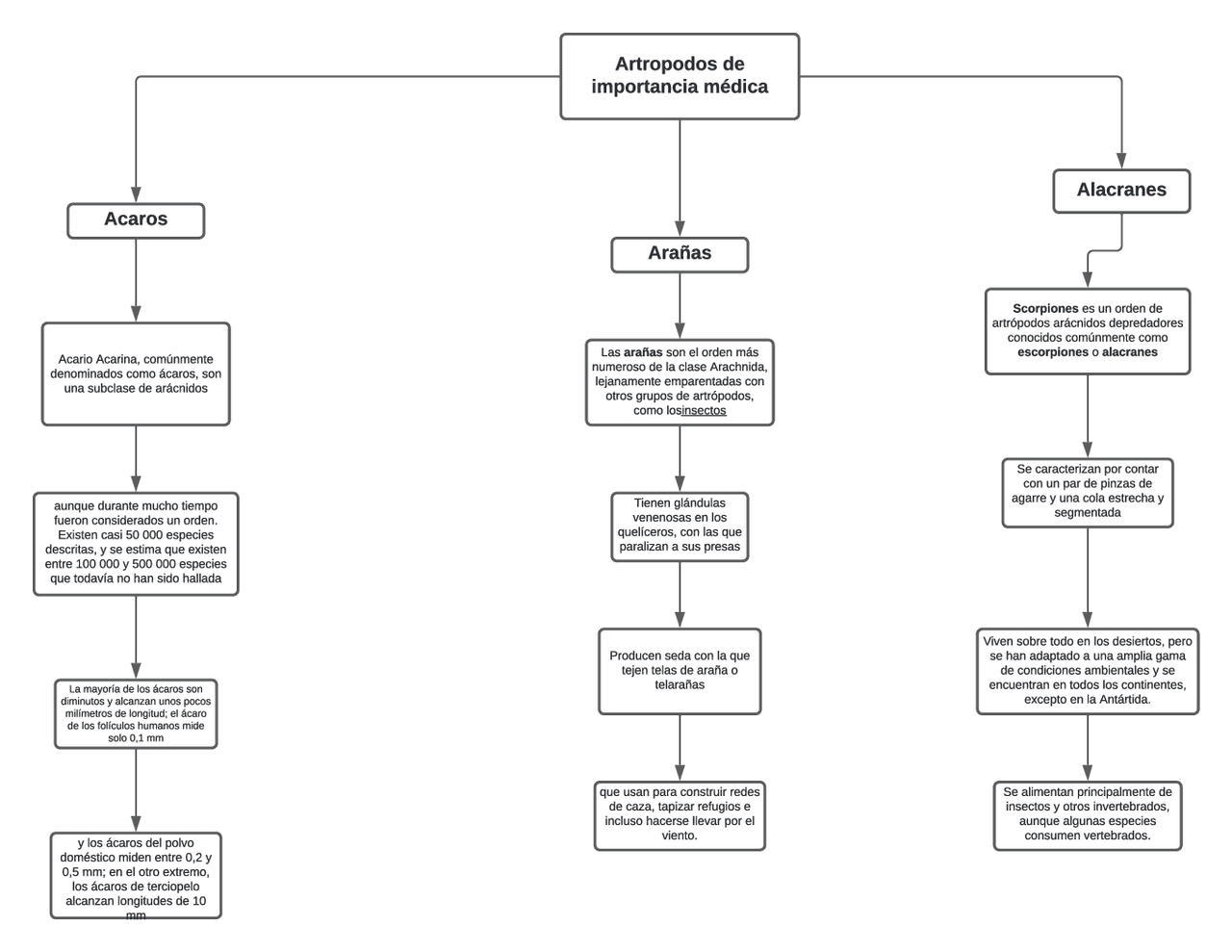 MAPAS DE MICROBIOLOGÍA | Esquemas y mapas conceptuales de Microbiología - Docsity