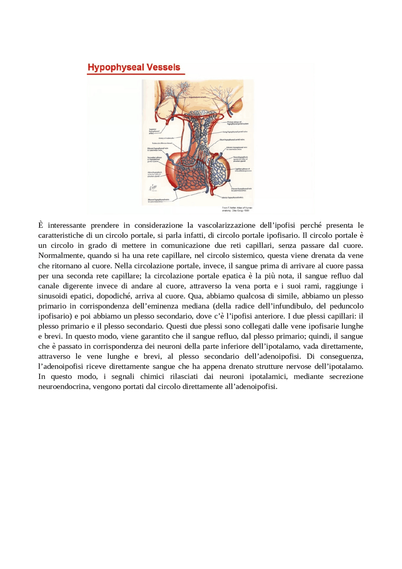 Appunti Fisiologia Anno 2021 2022 Docsity