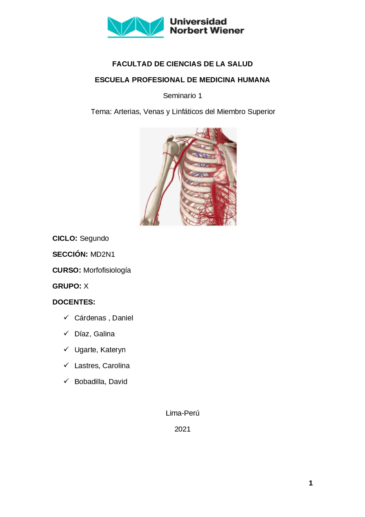 Seminarios De Morfofisiologia Resúmenes De Anatomía Docsity