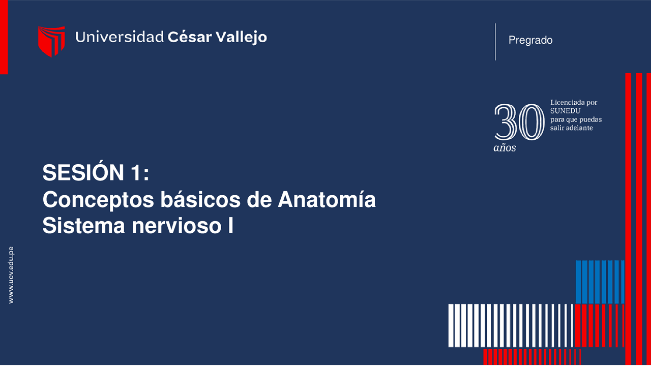 Anatomía Humana: Planes de Sección y Organización del Sistema Nervioso | Guías, Proyectos ...