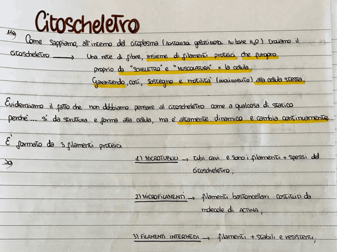 Il Citoscheletro ( microtubuli, microfilamenti, filamenti intermedi ...