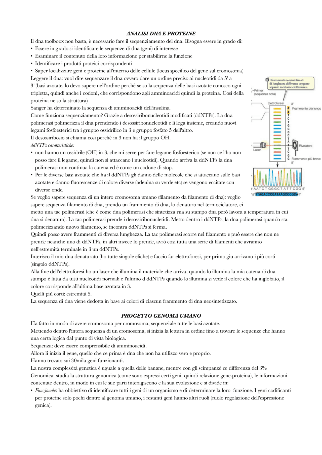 Biotecnologie Riassunto Completo Con Immagini Docsity