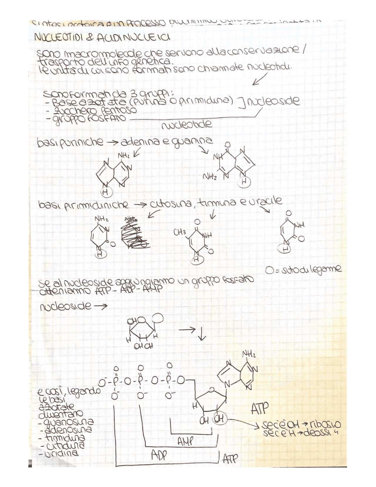 Appunti Di Biotecnologie Parte 3 Docsity