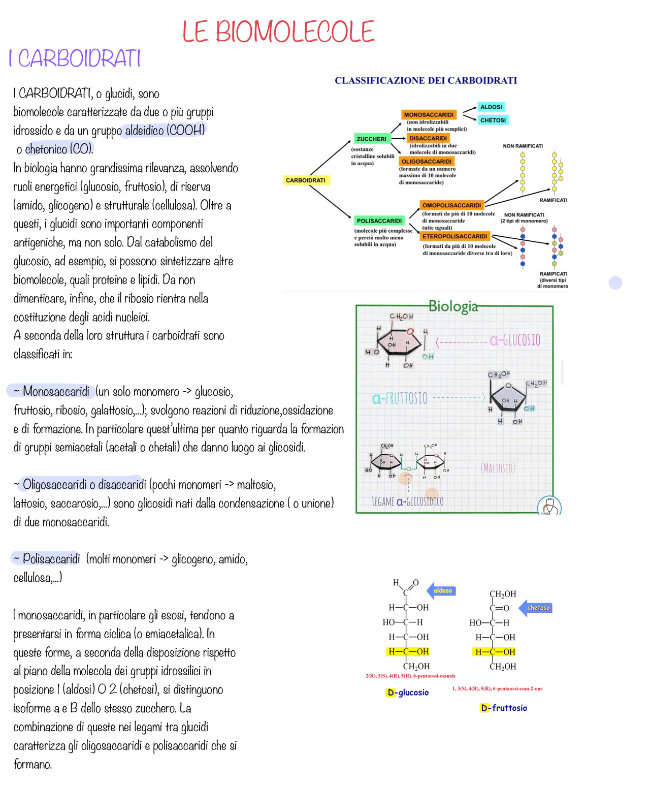 Sintesi Di Biologia Docsity