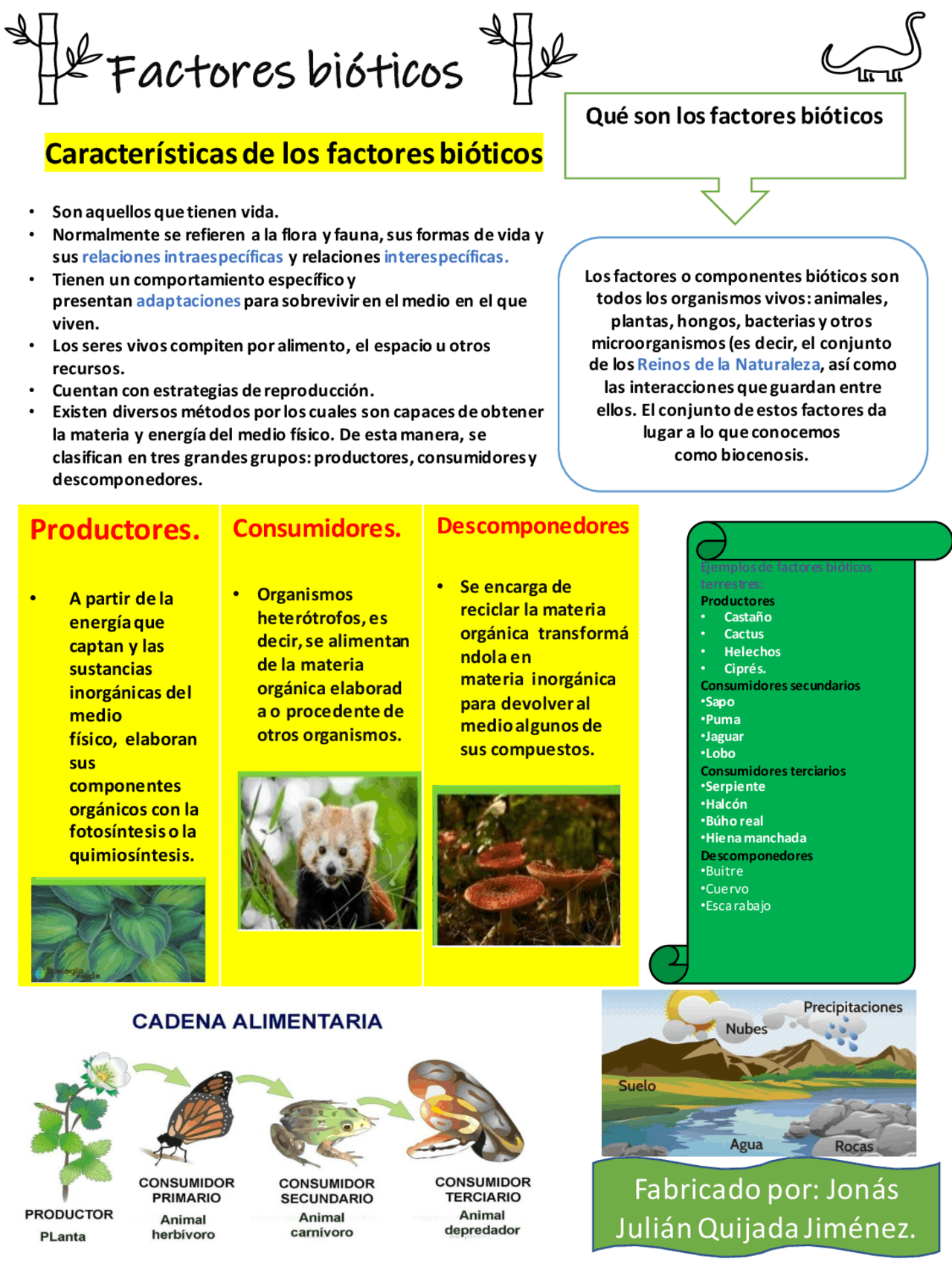Factores bióticos: productores, consumidores y descomponedores ...