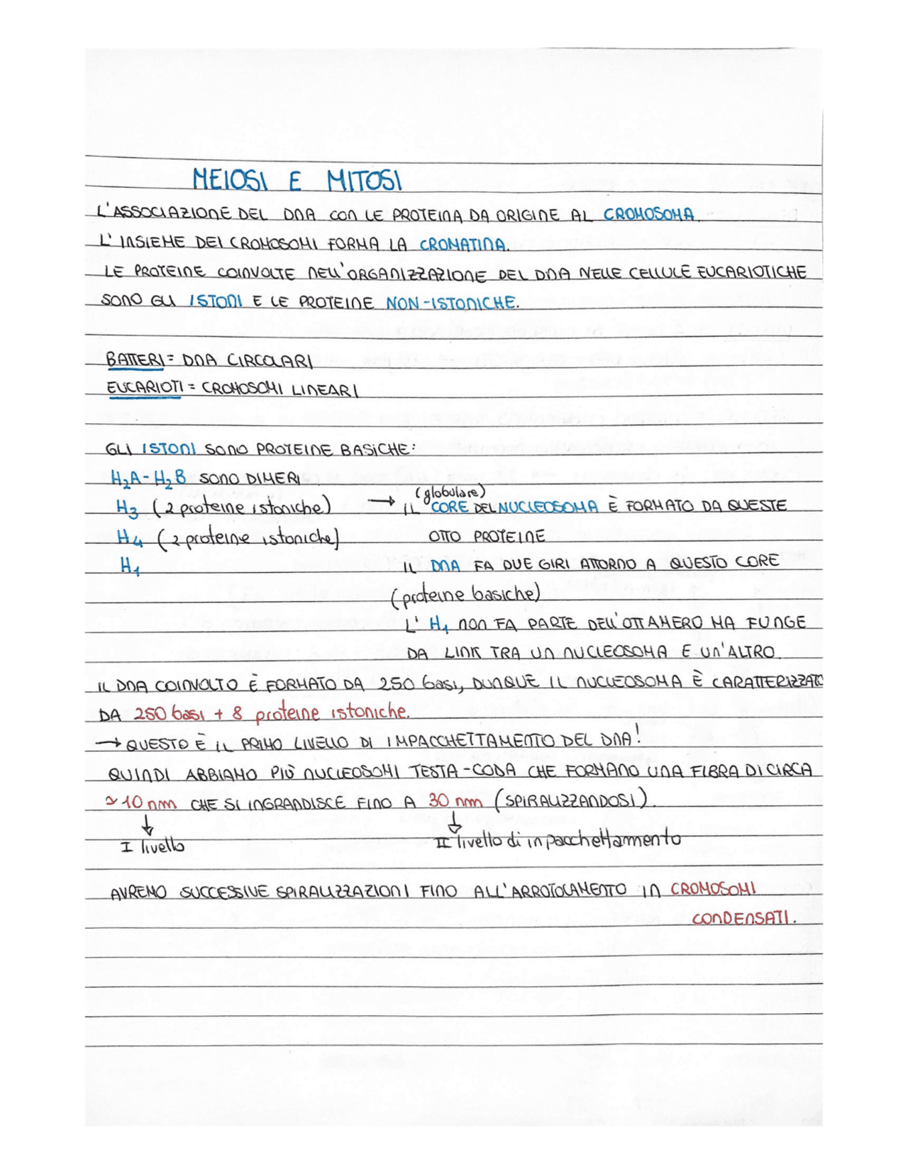 Appunti Slides E Lezioni Meiosi Mitosi Telomerasi Ecc Docsity