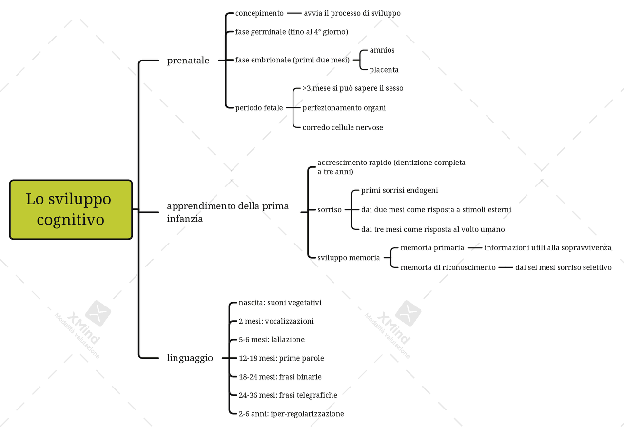 Lo Sviluppo Cognitivo Schema Docsity
