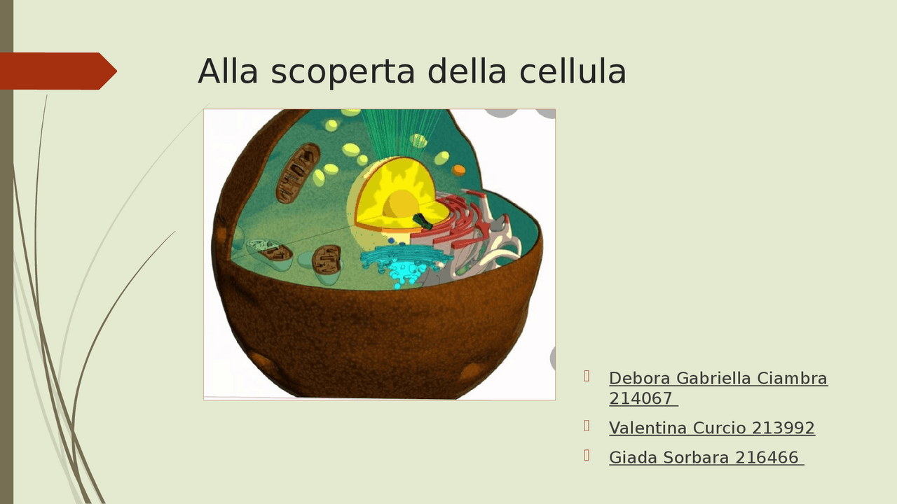 Attività Didattica Sulla Cellula Docsity
