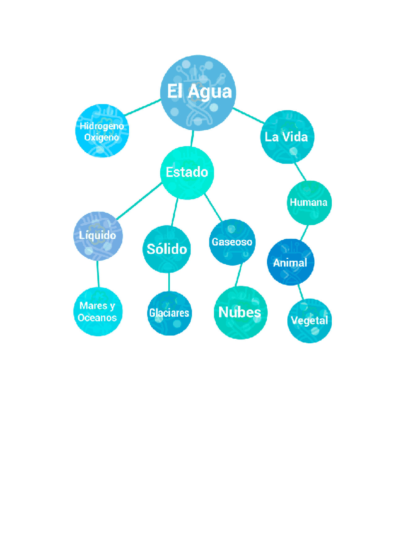 El agua y su importancia en el ser vivo - Docsity