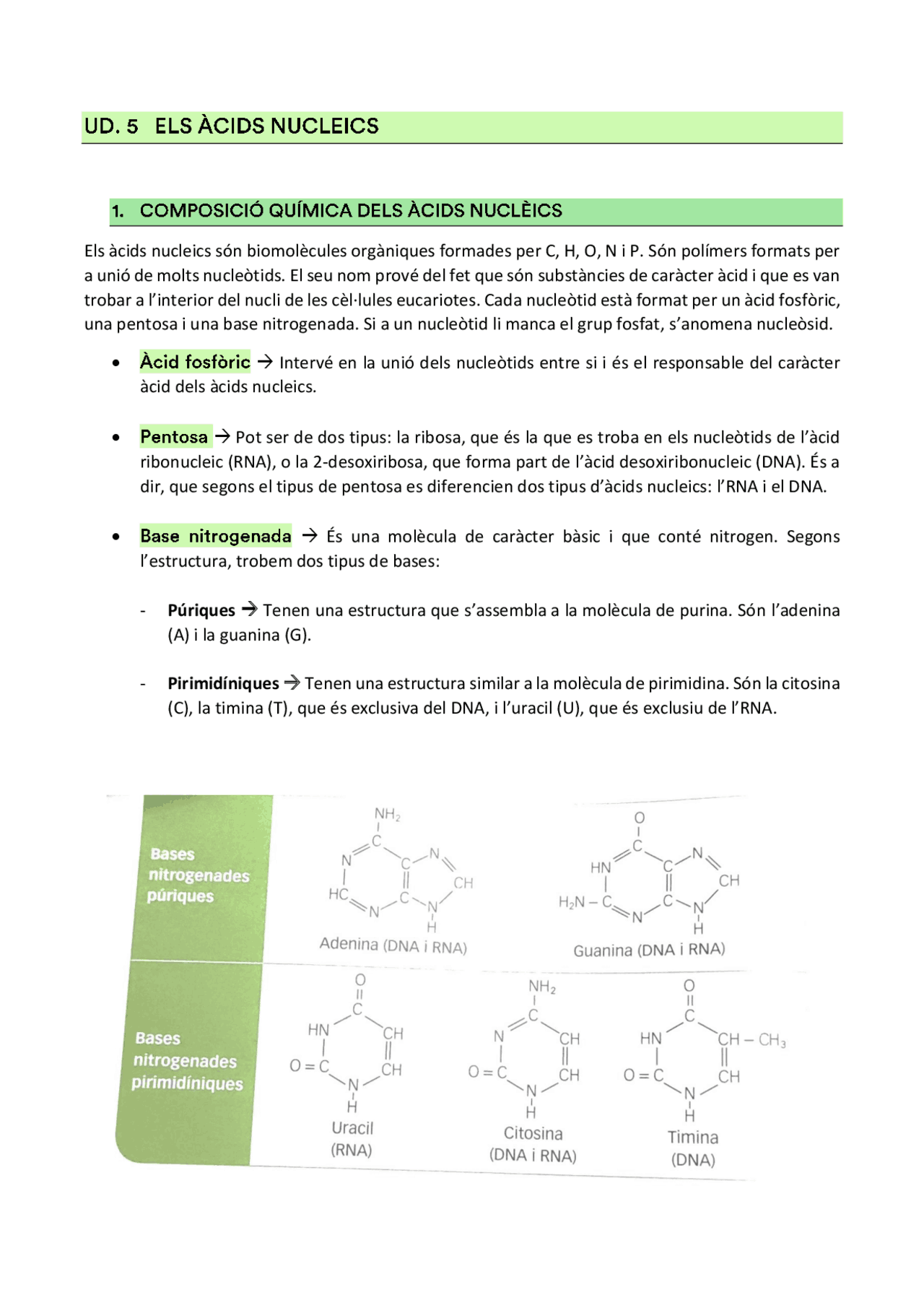 Ud 5 Àcids Nucleics Docsity