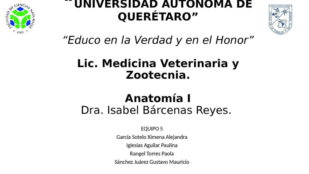 Anatomía De Las Articulaciones Docsity