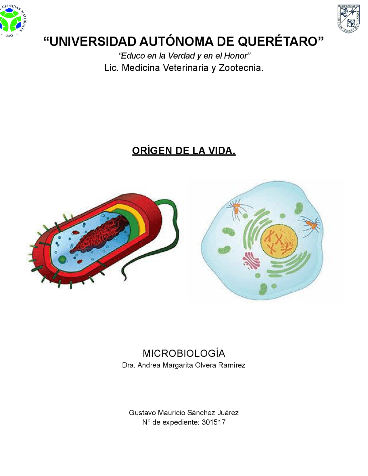 Diferencia Entre Un Virus Y Bacteria Docsity