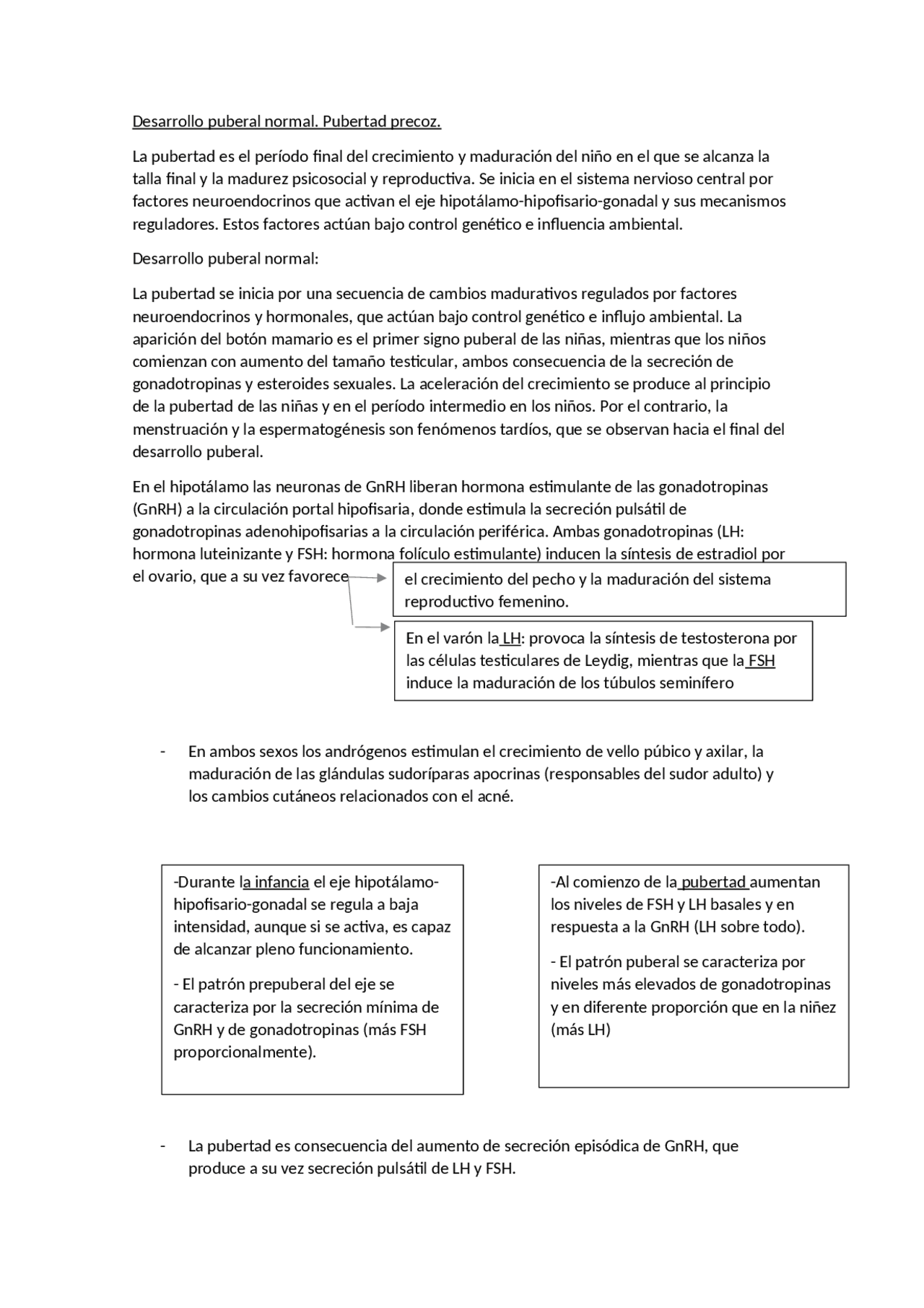 Anatomía Del Aparato Reproductor Masculino Resúmenes De Anatomía