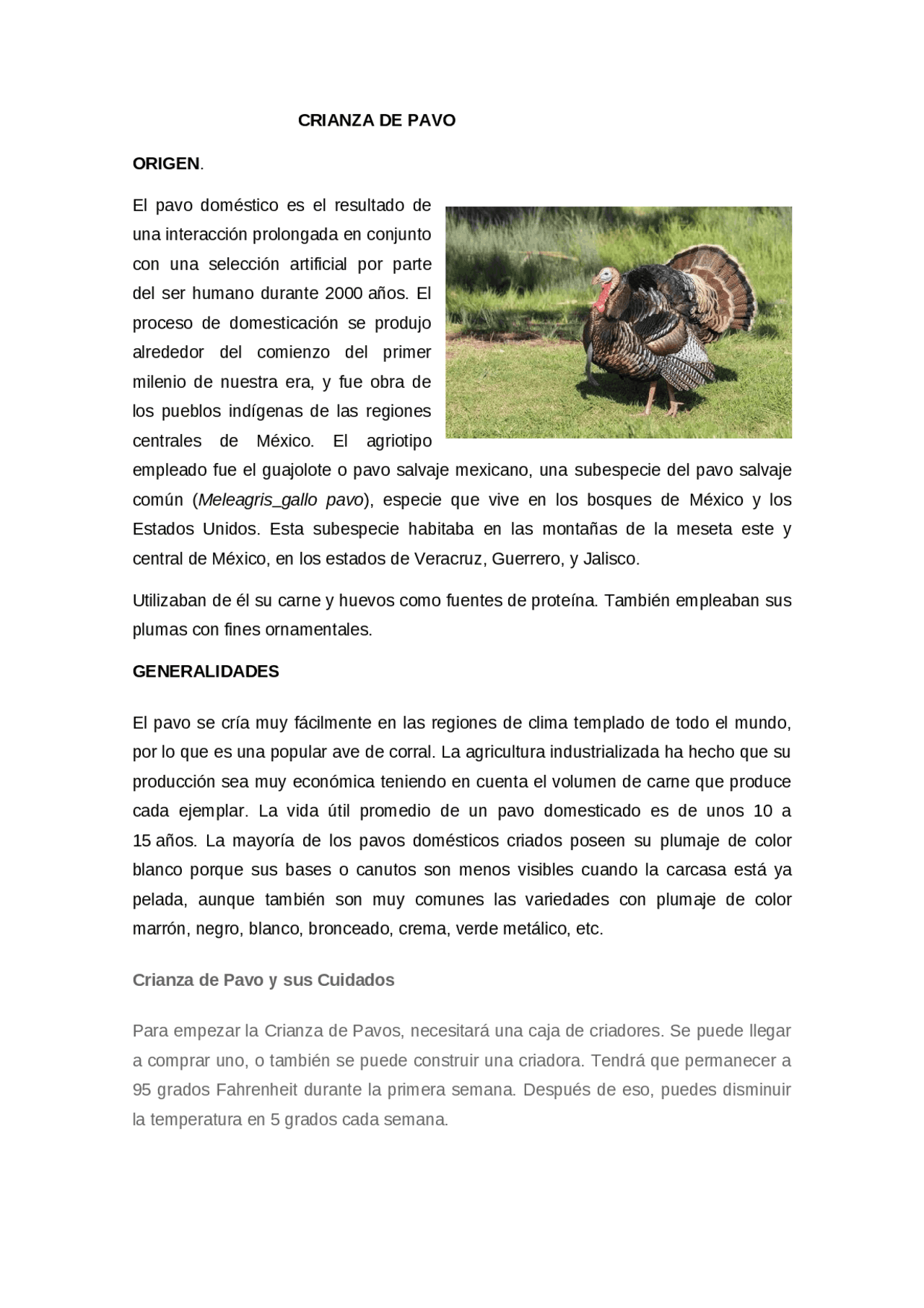 Crianza de pavos y descripción de razas | Apuntes de Biología | Docsity