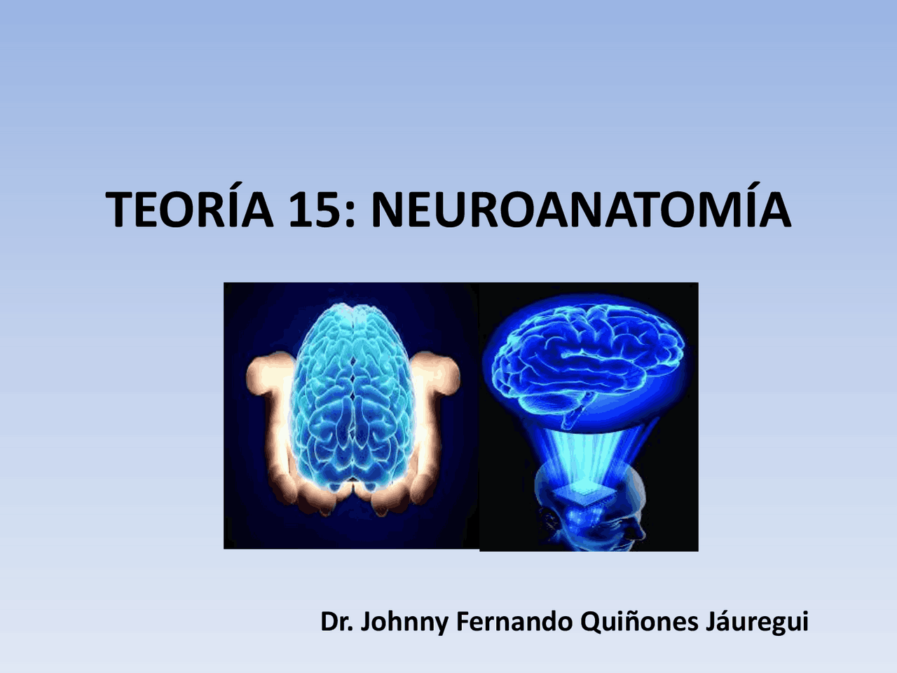 Anatomia Humana Cabeza Diapositivas De Anatomía Docsity