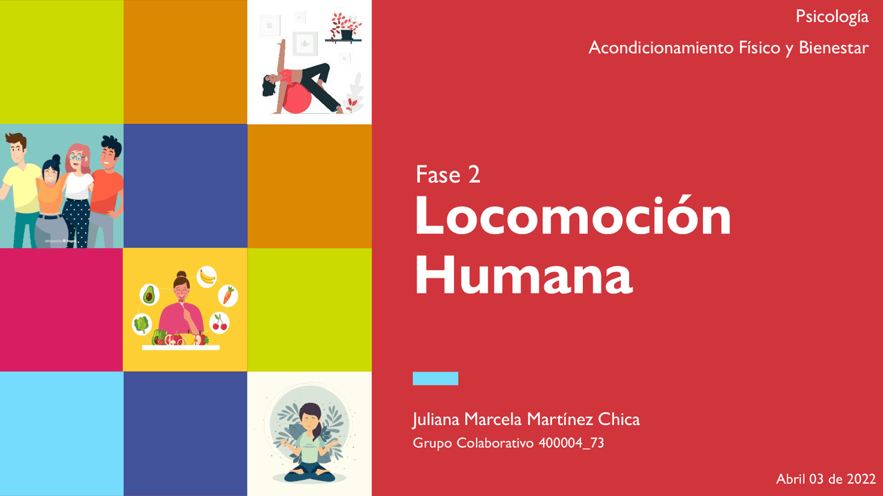 Locomoción Humana: Sistema Locomotor | Slides de Educação Física | Docsity