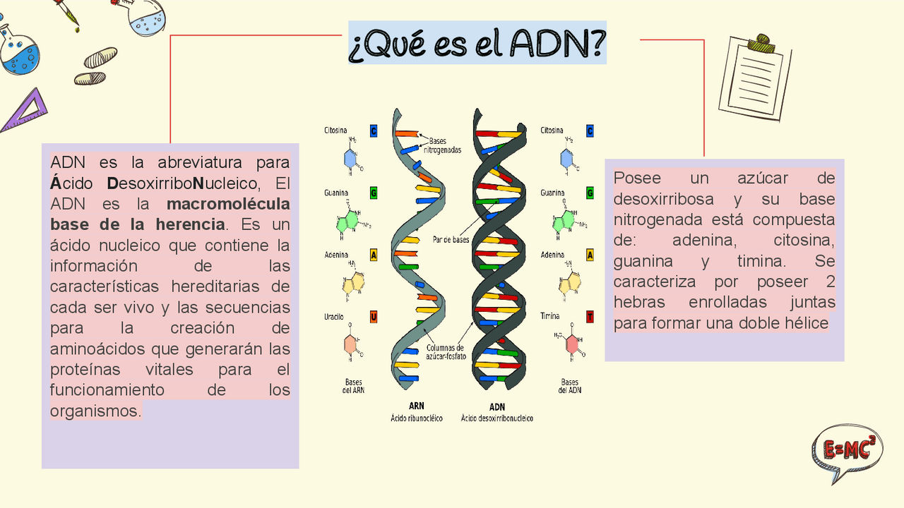 Diagrama De Cromosomas Y Gen De Adn