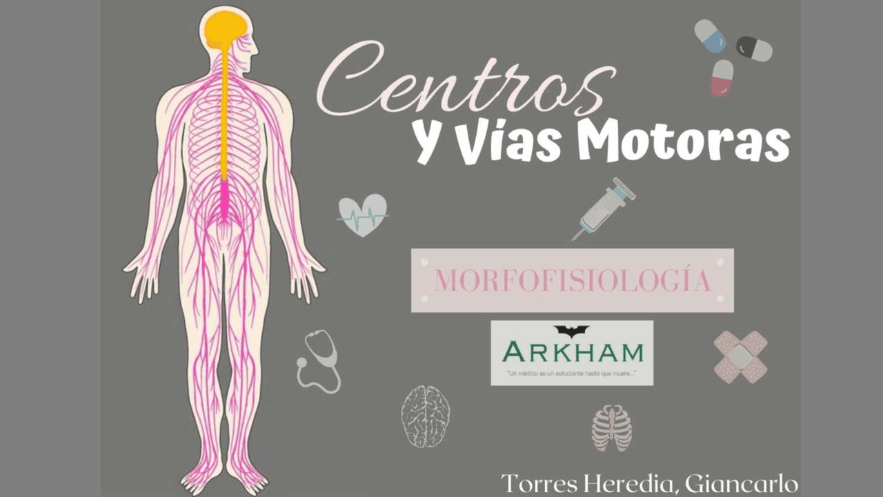 Resumen anatomía vía motora - Docsity