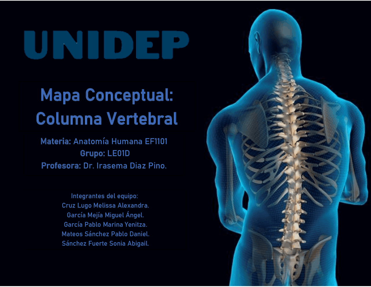 Mapa conceptual Columna vertebral - Docsity