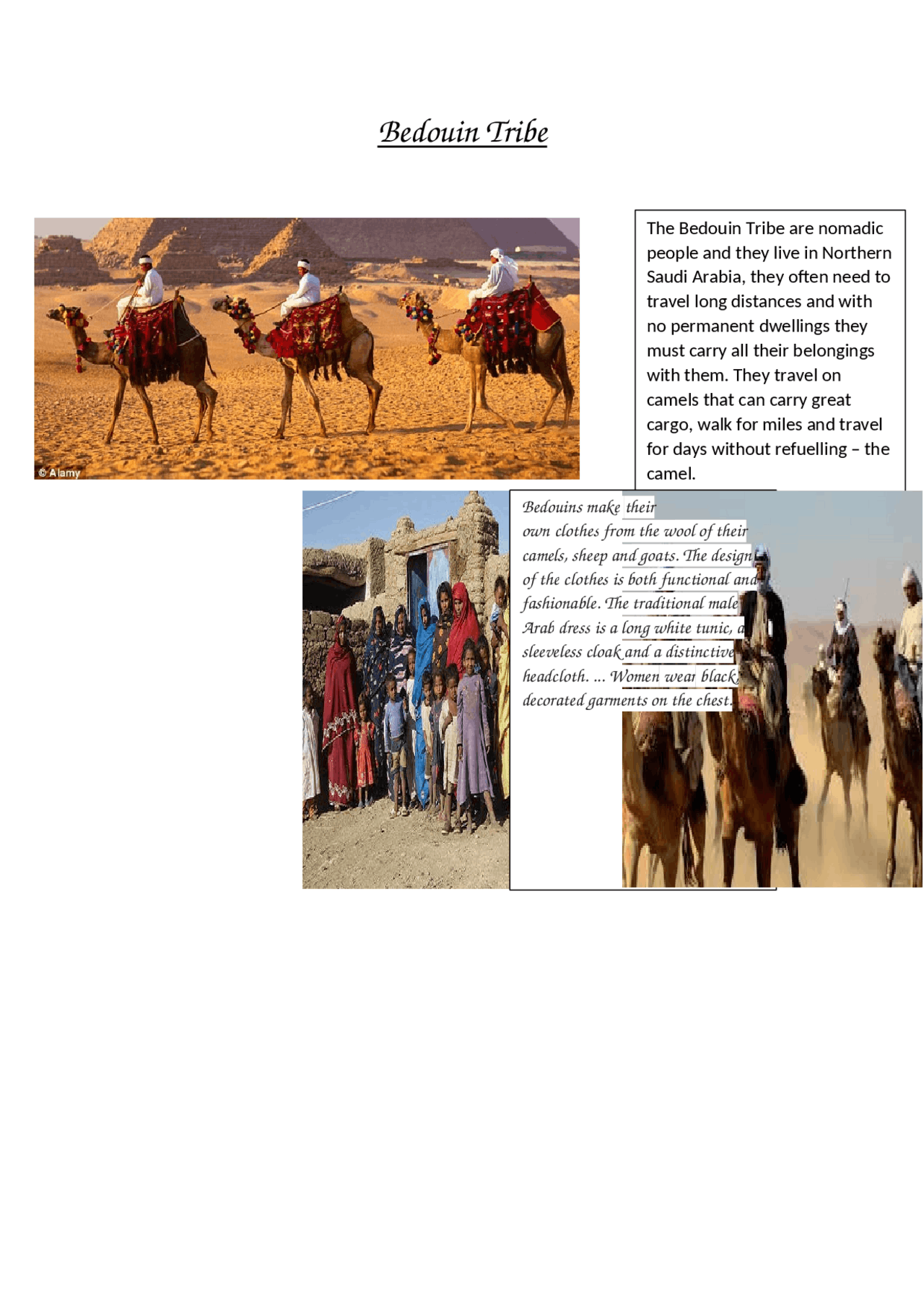 Bedouin Tribe information - Docsity