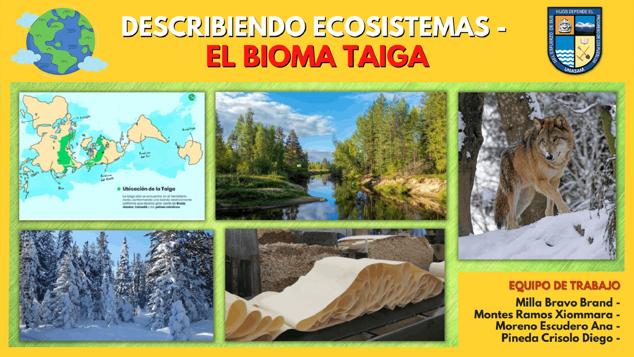 Bioma de Taiga - biomas del Perú | Slides of Natural Resources | Docsity