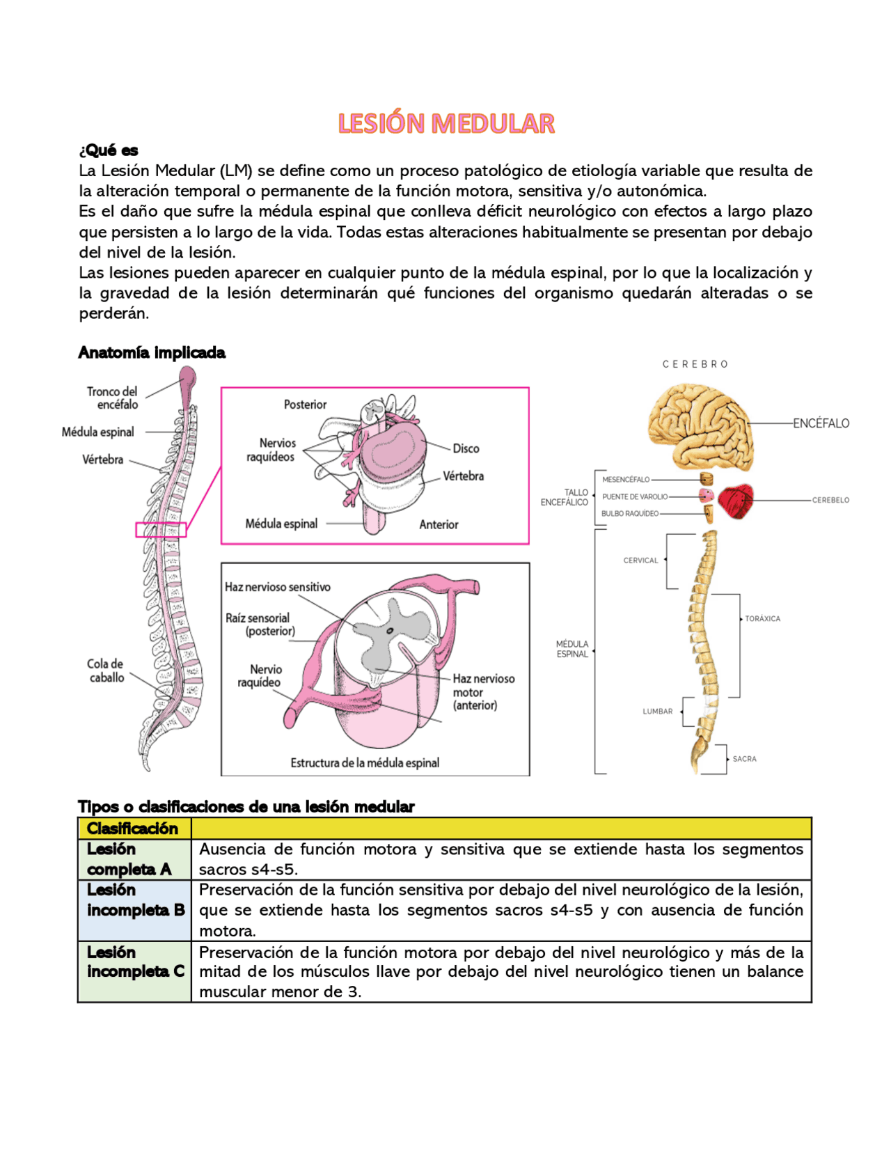 Lesión medular que es | Apuntes de Neurología - Docsity