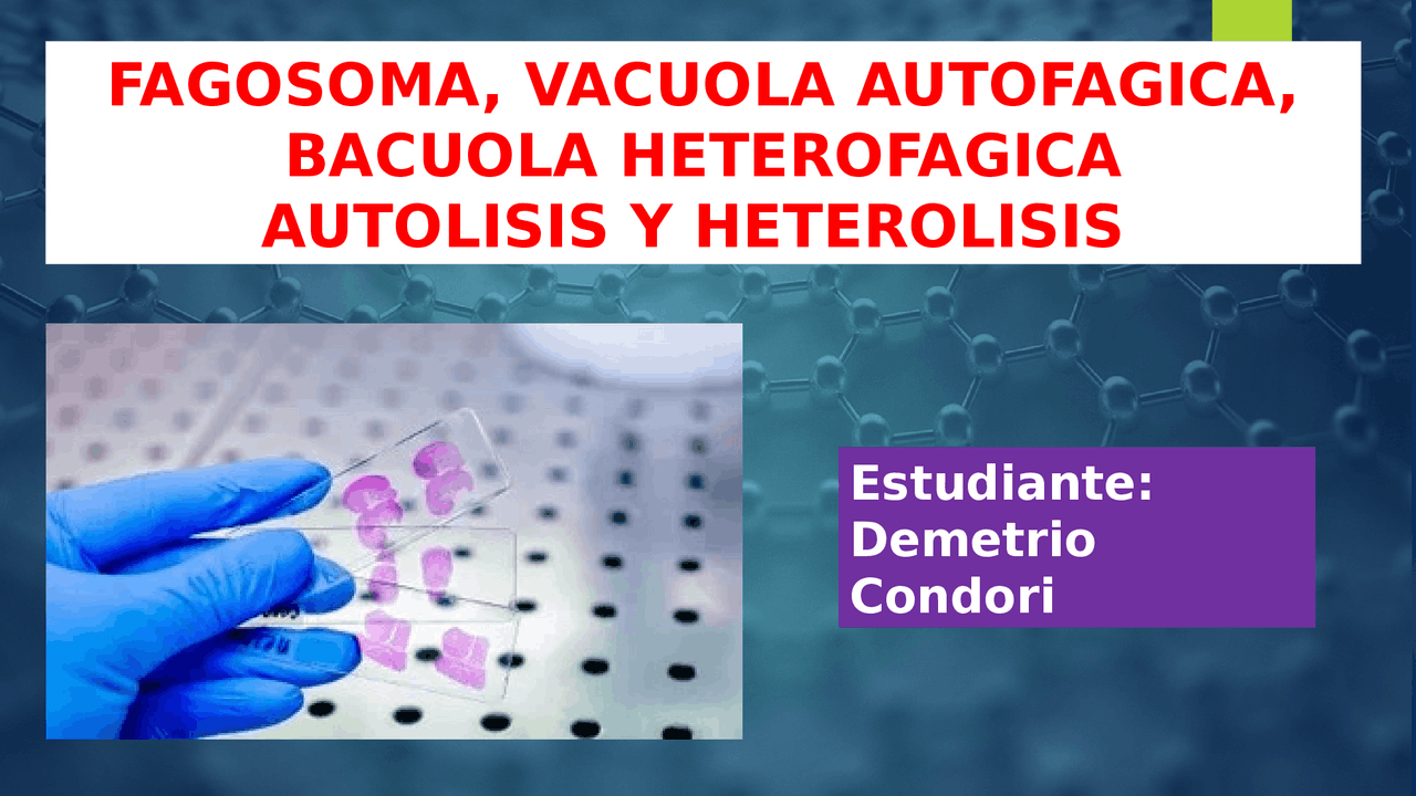 FAGOSOMA, VACUOLA AUTOFAGICA, BACUOLA HETEROFAGICA AUTOLISIS Y ...