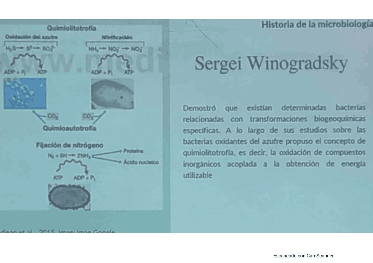 Clase 1 Microbiología Docsity