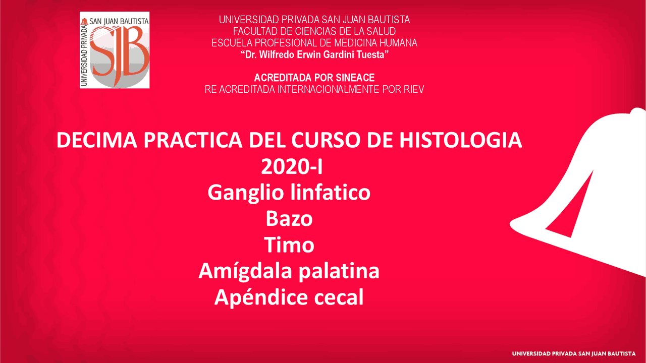 Practica Org Linfoide Docsity