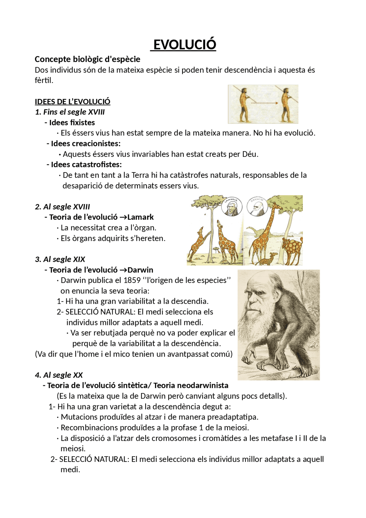 Evolución Biológica: Teorías y Pruebas de la Evolución de las Especies ...