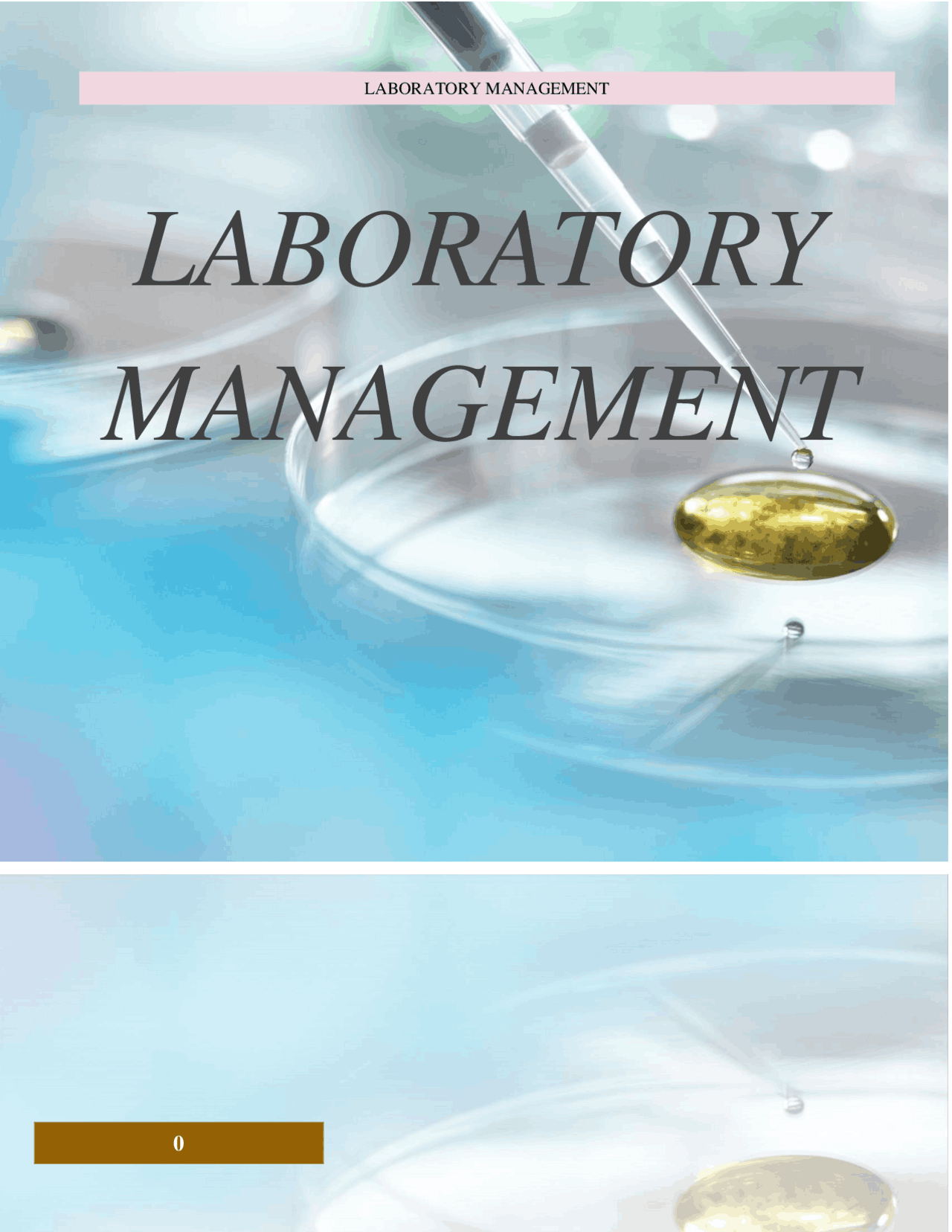 Rmt Categories And Others Docsity