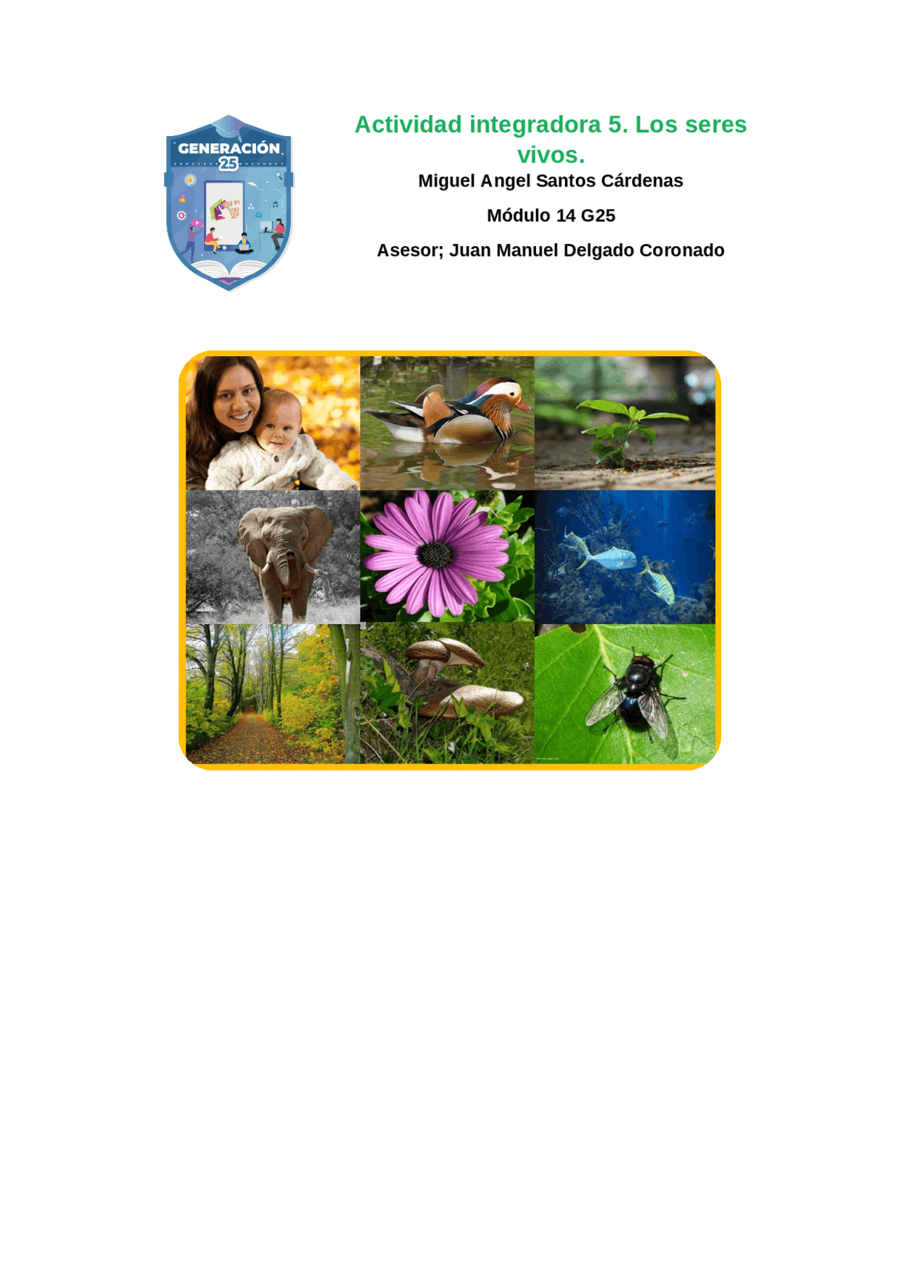 Actividad Integradora 5 Los Seres Vivos Docsity