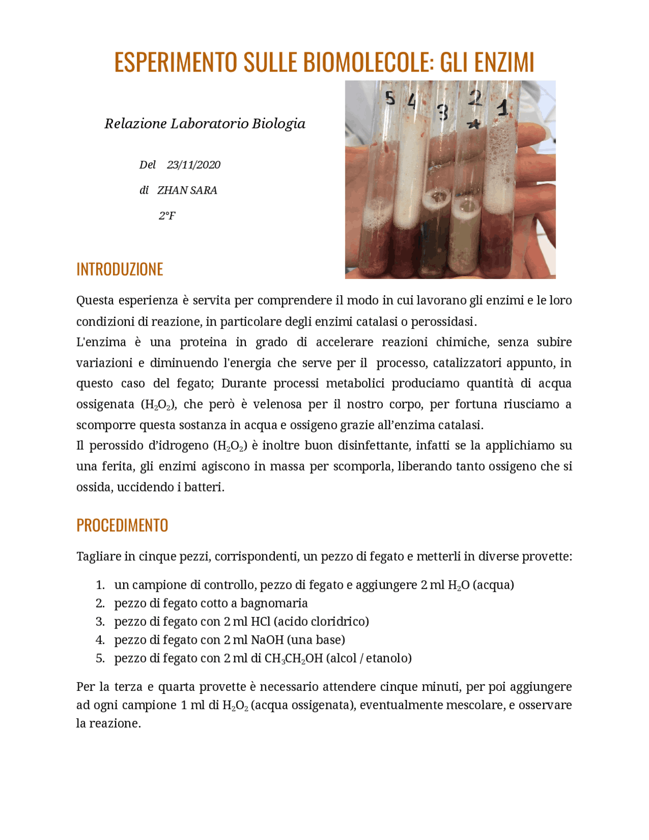 Esperimento E Relazione Sugli Enzimi Docsity