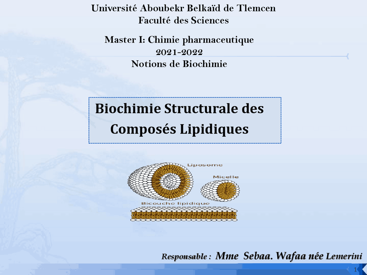 Biochimie des lipides - Docsity