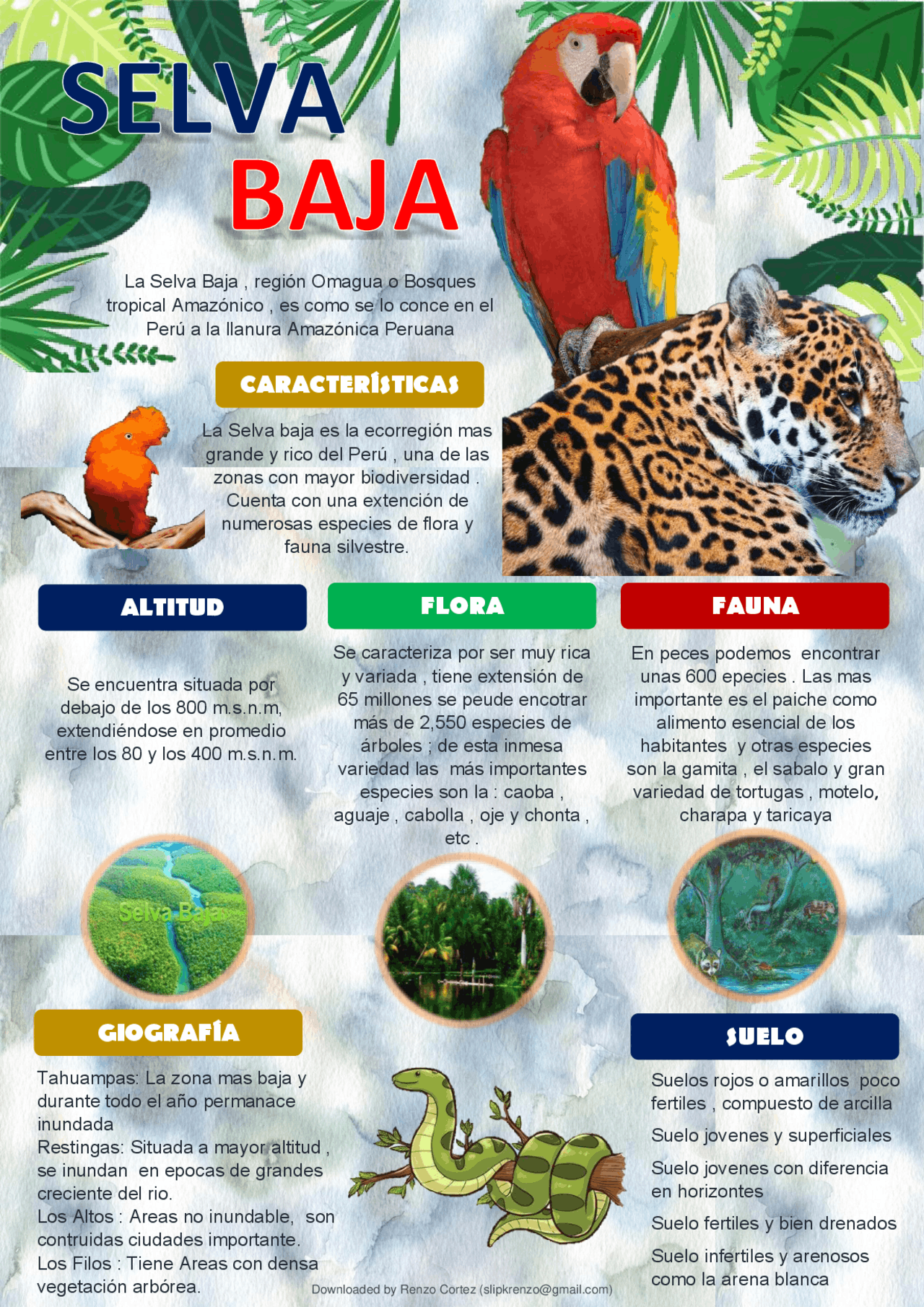 LA SELVA BAJA O OMAGUA ES UNA DE LAS PRINCIPALES ATRACCIONES TURISTICAS ...