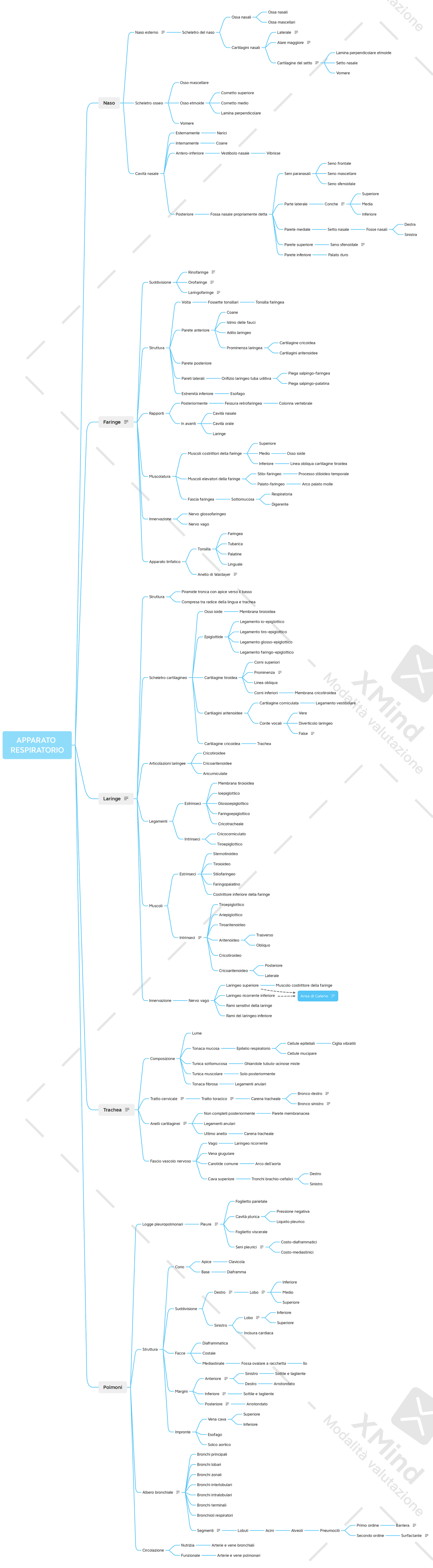 Schemi Apparato Respiratorio Docsity