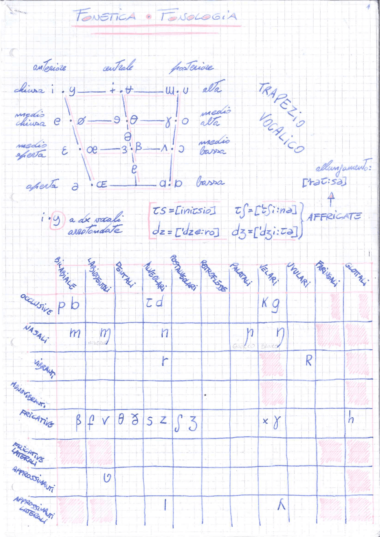 L'essenziale per il primo modulo di Fondamenti di Linguistica di Squartini - Docsity
