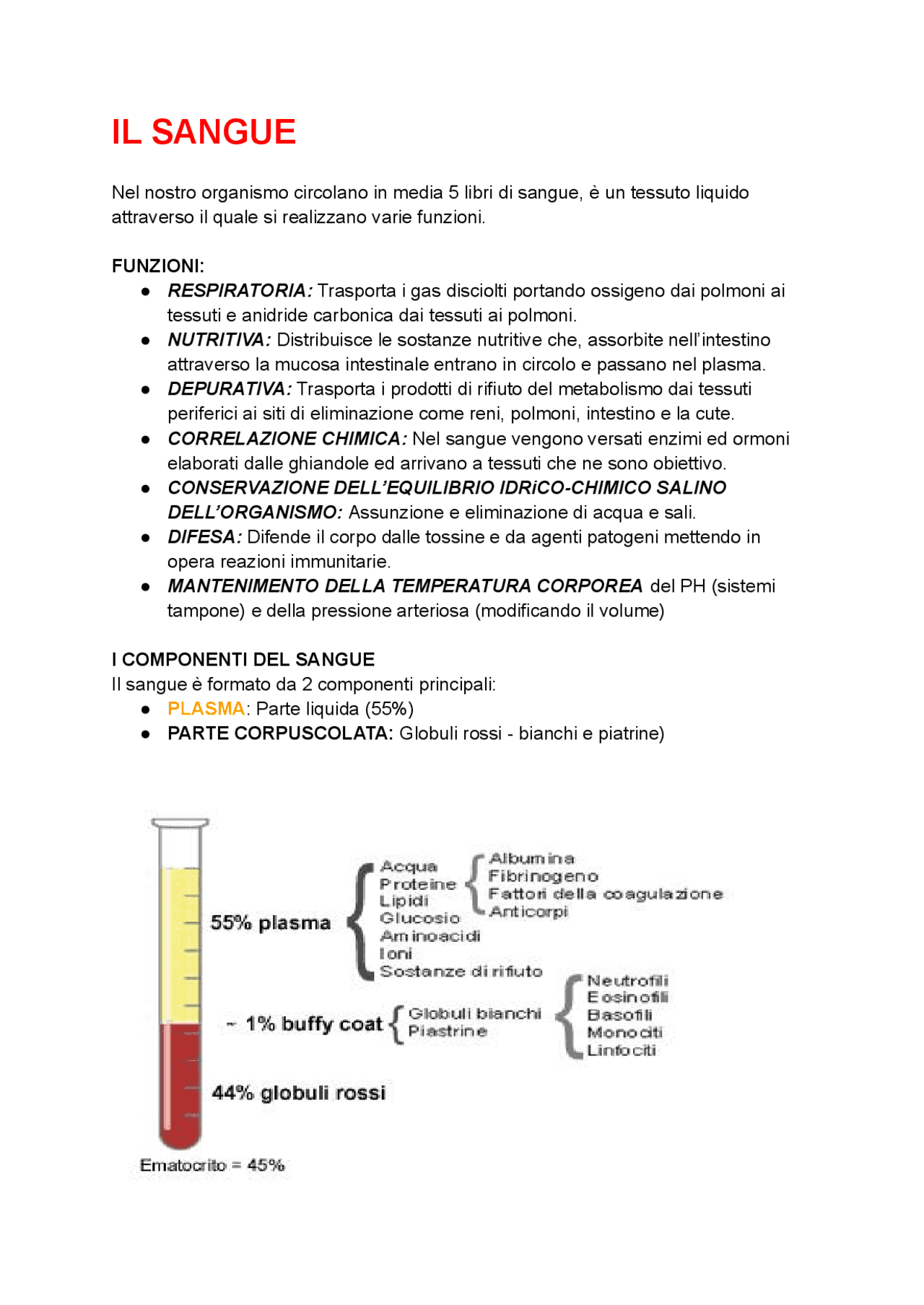 Il Sangue: Funzioni, Componenti e Caratteristiche | Schemi e mappe ...