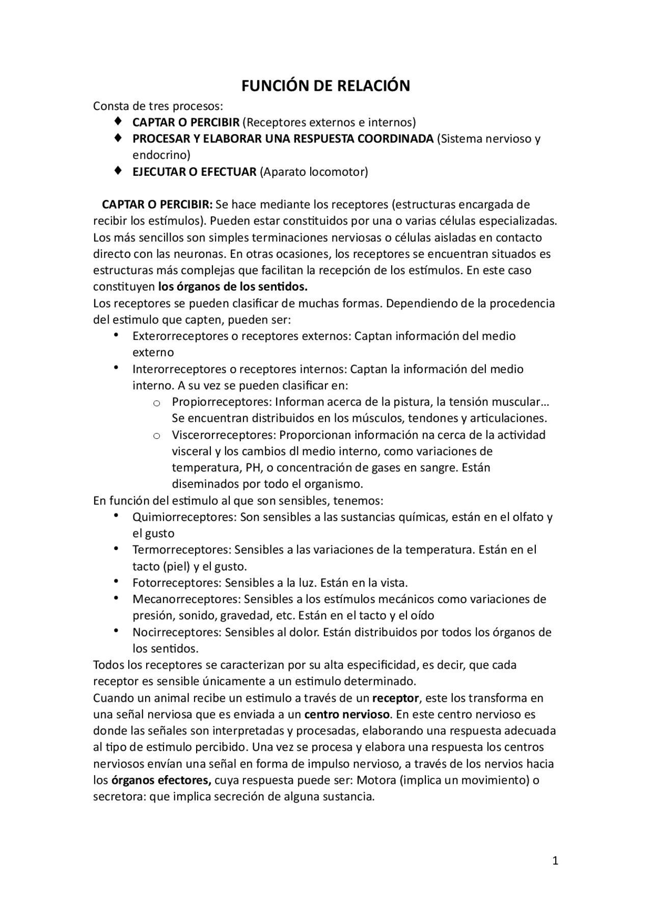 Órganos De Los Sentidos Docsity