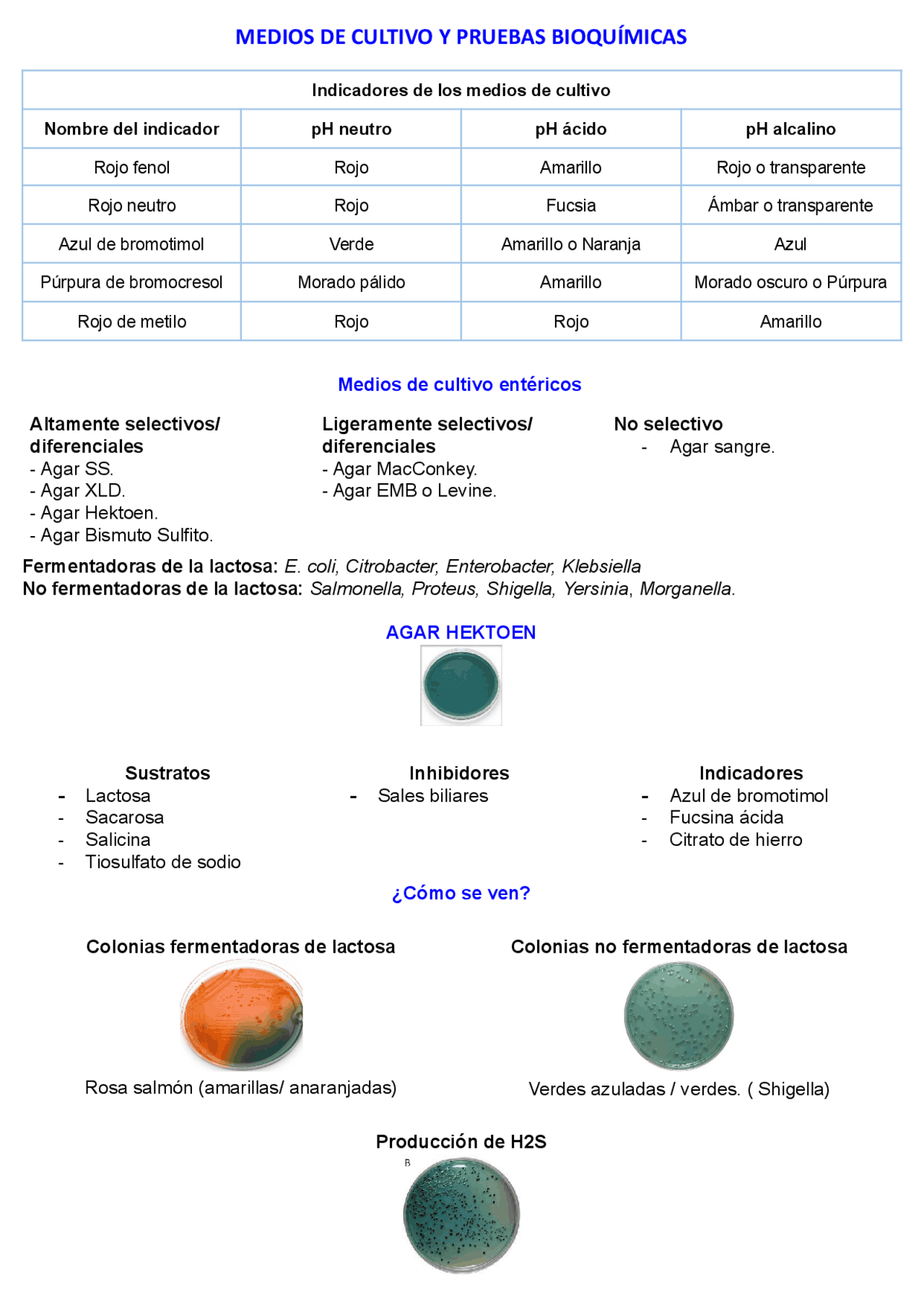 Medios de cultivo y pruebas bioquímicas para la identificación de enterobacterias - Docsity