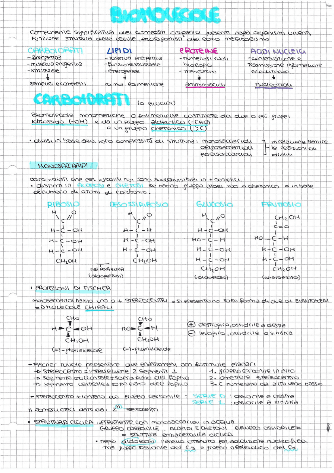 Biomolecole Schemi Quinta Superiore Docsity