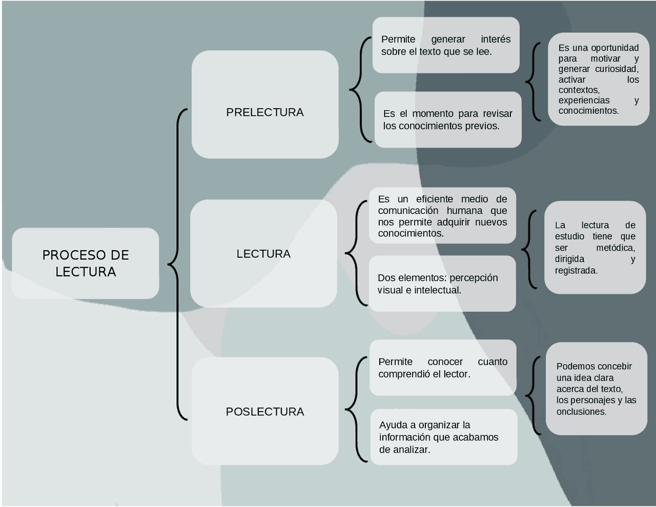 Proceso de lectura: prelectura, lectura y pos lectura - Docsity