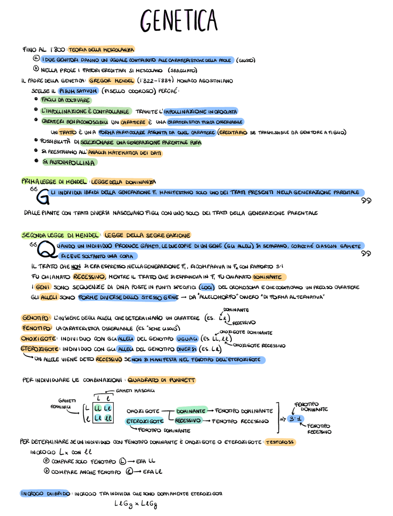 Appunti Di Genetica Docsity
