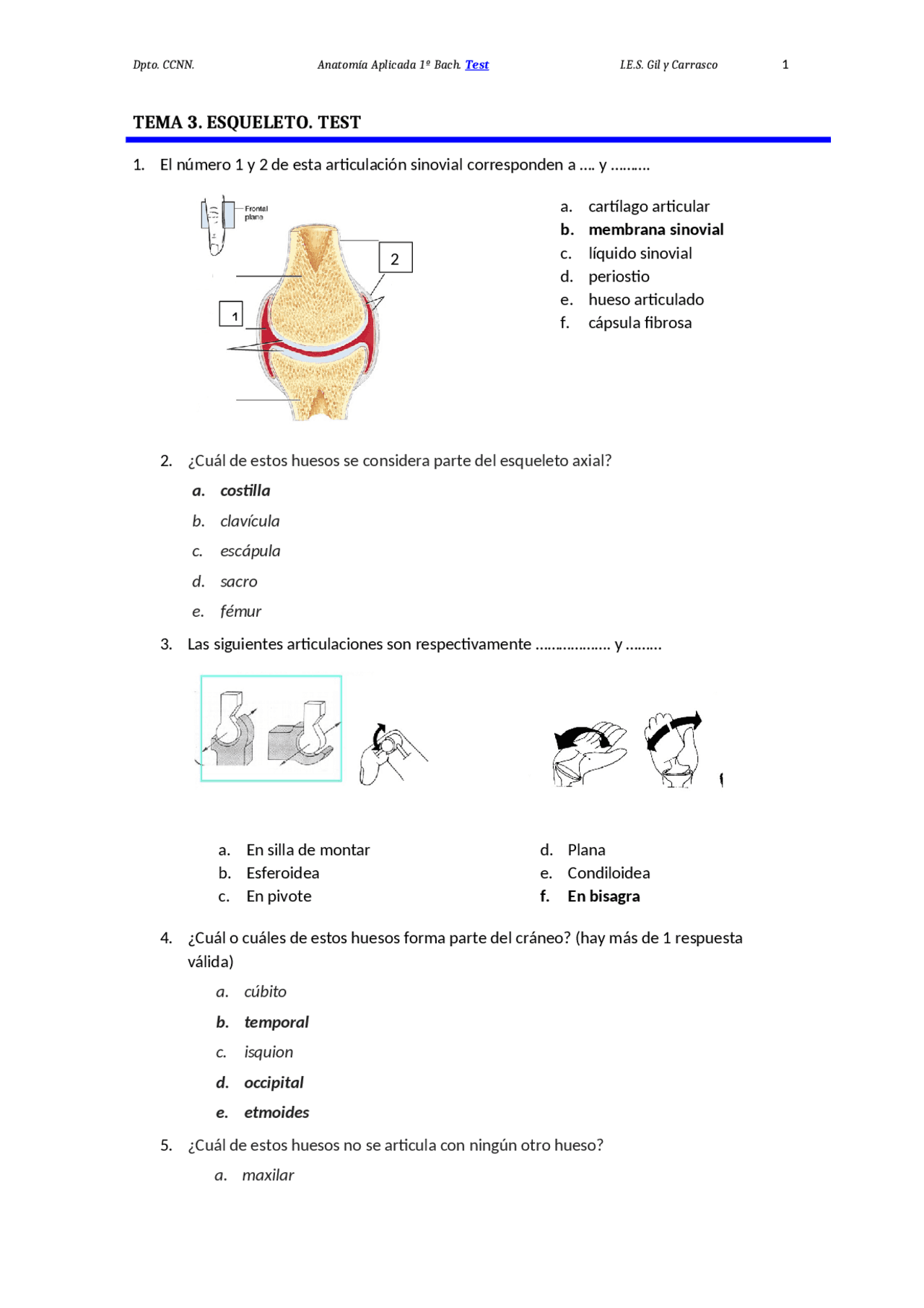 Ejercicios Anatomia Docsity