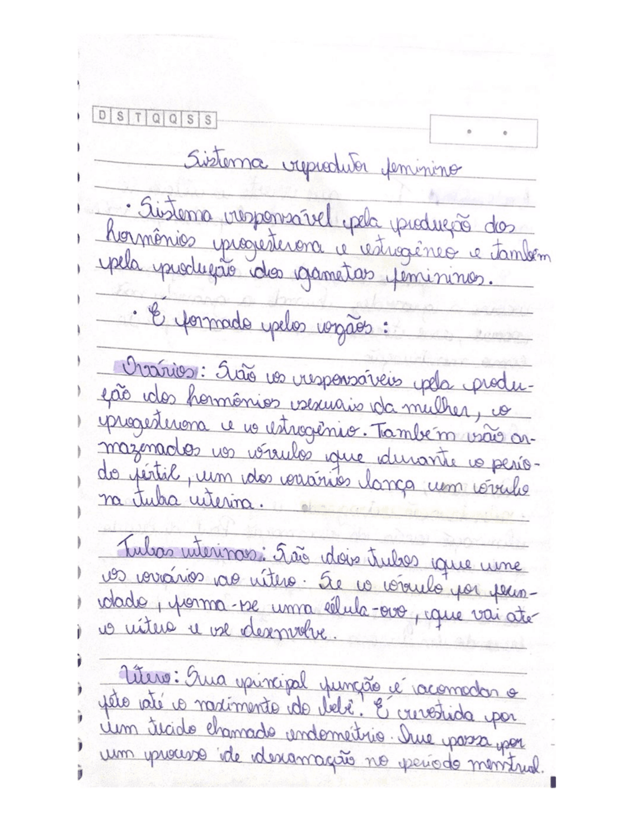 Sistema Reprodutor Feminino Docsity
